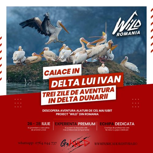 Aventuri Wild Romania - Fabrica de Aventura